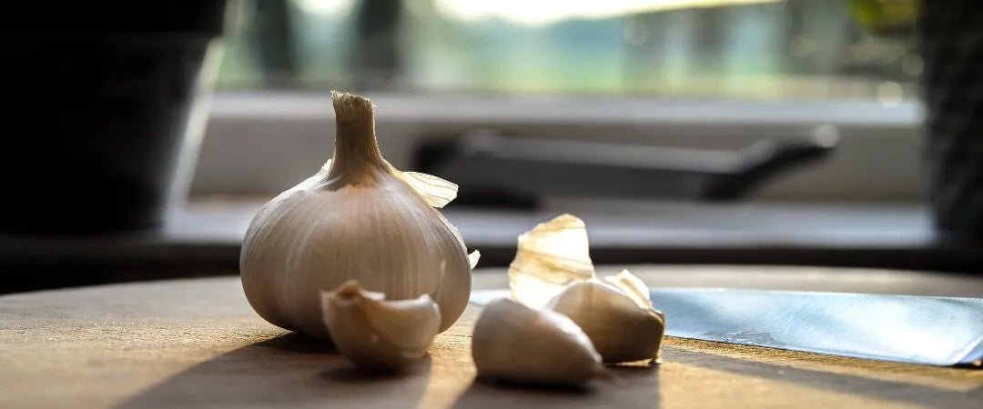 Signs & Symptoms of Garlic Intolerance or Allergy – Check My Body Health UK