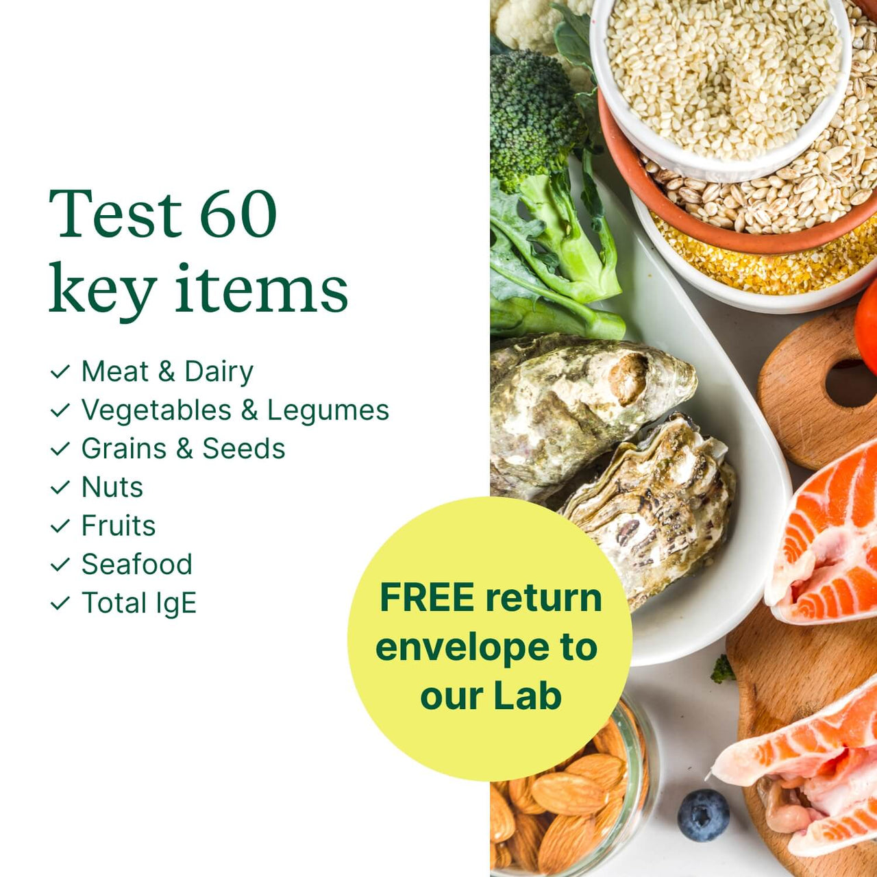 Food Allergy Test – Check My Body Health UK