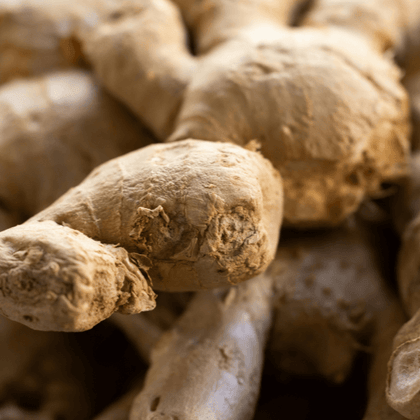 Ginger allergy: Symptoms, Testing and Alternative foods – Check My Body ...